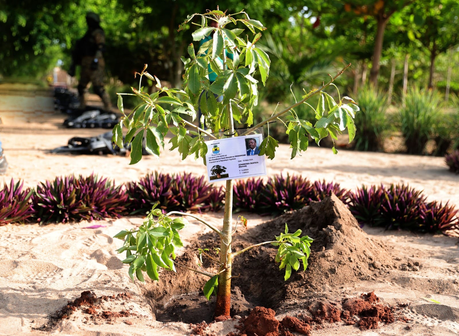 Togo/Environment: President Faure GNASSINGBE takes a symbolic but ...