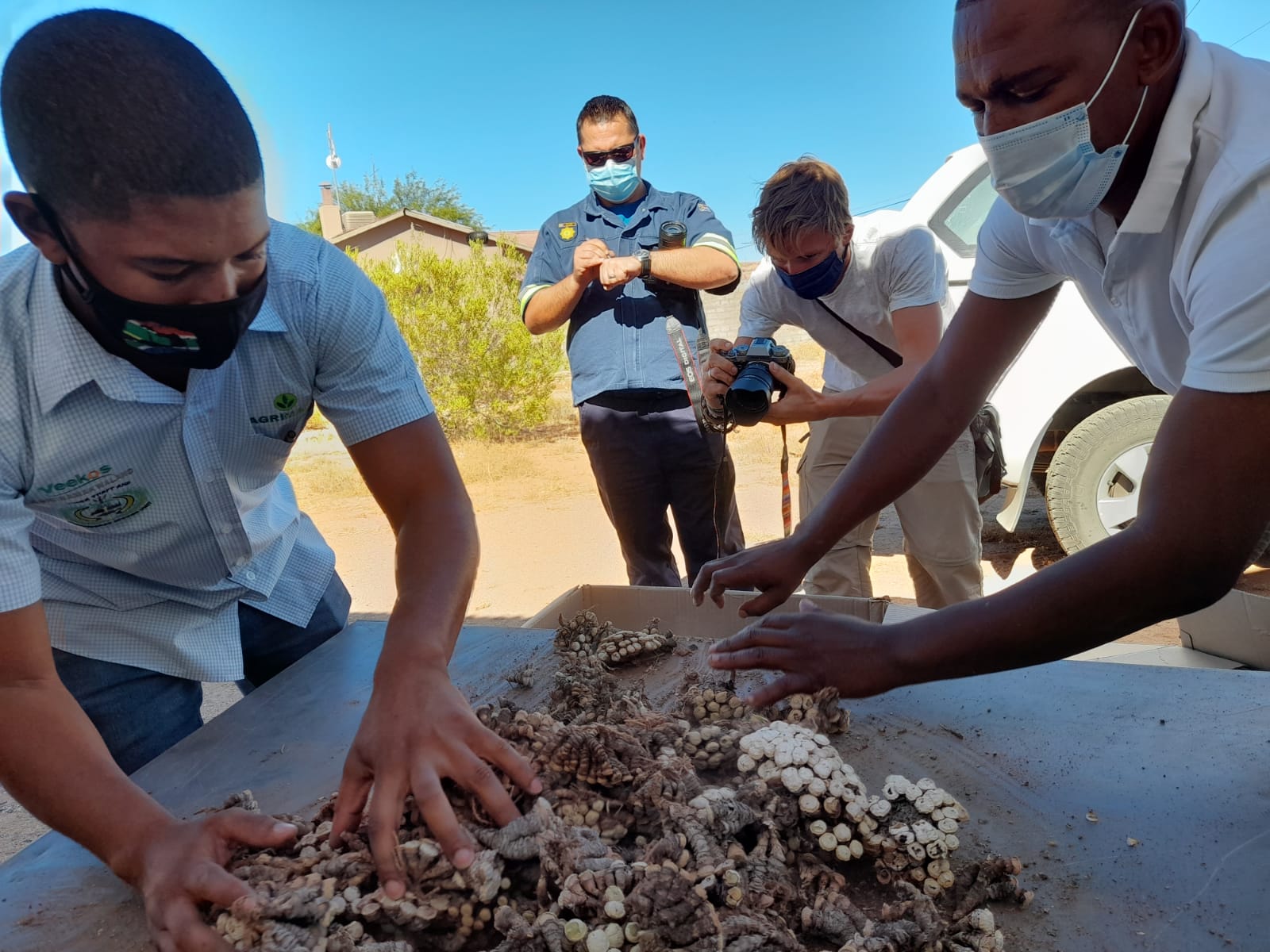 Cape Town officials uncover endangered plant smuggling scheme